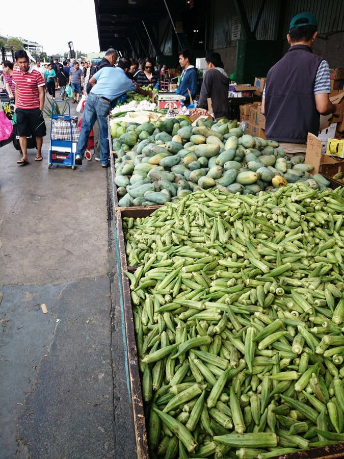 Vegetable Market editorial stock image. Image of sydney - 48274449