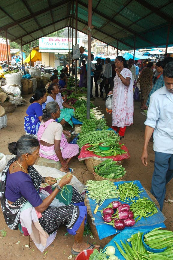 Vegetable market of Goa. editorial image. Image of lifestyle - 12162935