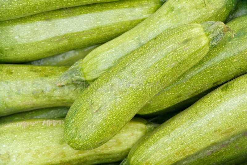 Vegetable marrow stock image. Image of slippy, food, macro - 21169511