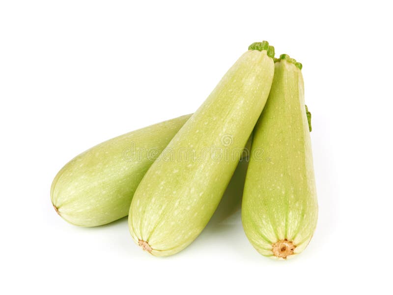 Vegetable marrow stock photo. Image of gourd, courgette - 55460612