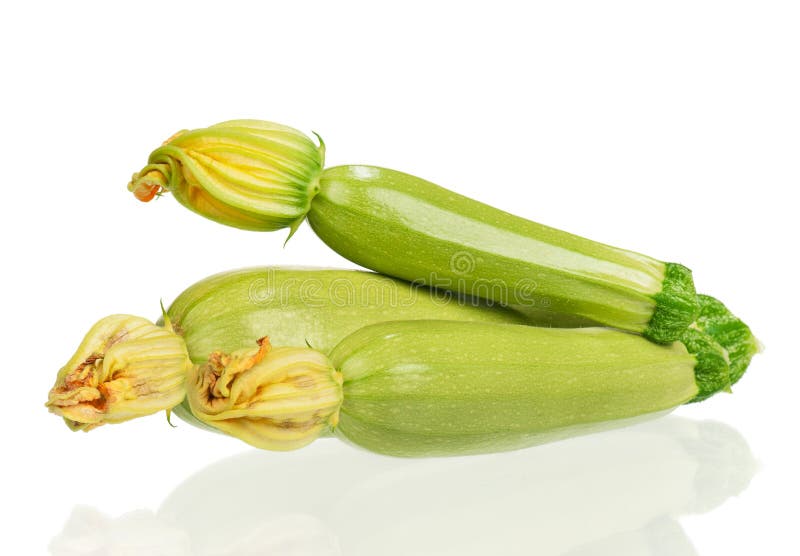 Vegetable marrow stock image. Image of healthy, marrow - 49367291