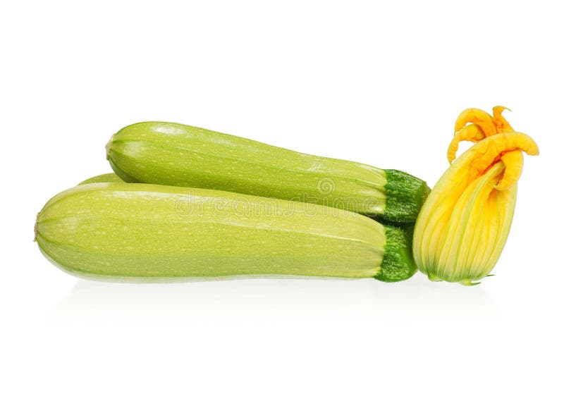 Green marrow stock image. Image of nature, ingredient - 27421627