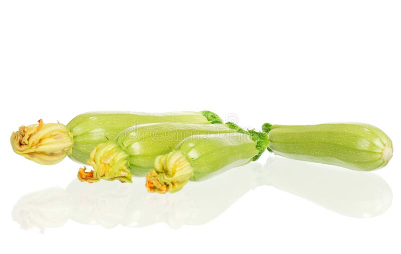 Green marrow stock image. Image of nature, ingredient - 27421627