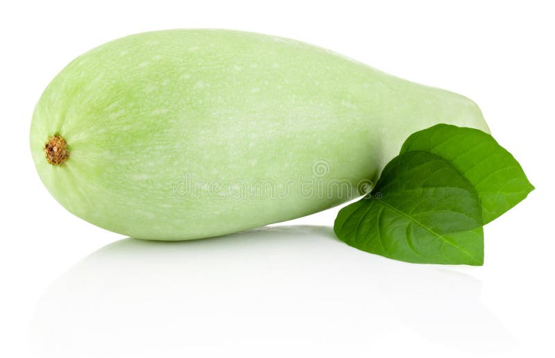 Vegetable Marrow with Green Leaves Isolated on White Background Stock ...