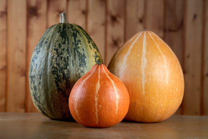 Vegetable Marrow and Pumpkins Stock Image - Image of food, yellow: 16374817