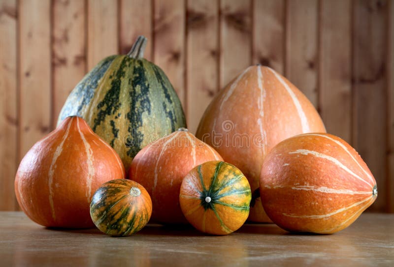 Vegetable Marrow and Pumpkins Stock Photo - Image of healthy, farm ...