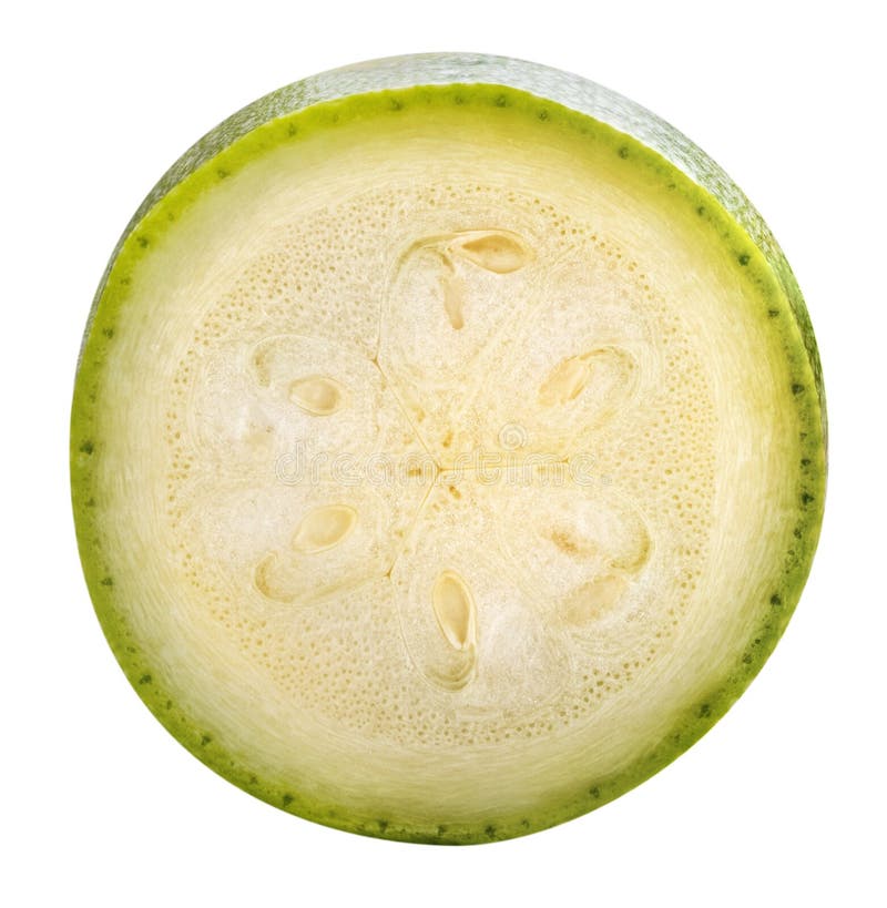 Vegetable Marrow Squash Zucchini Isolated on White Background Stock ...