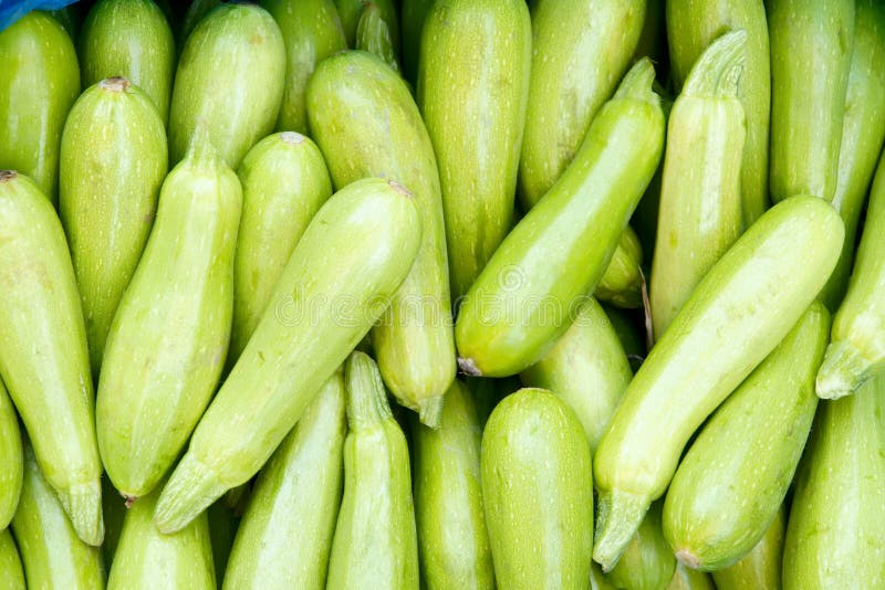 Vegetable marrow stock image. Image of slippy, food, macro - 21169511
