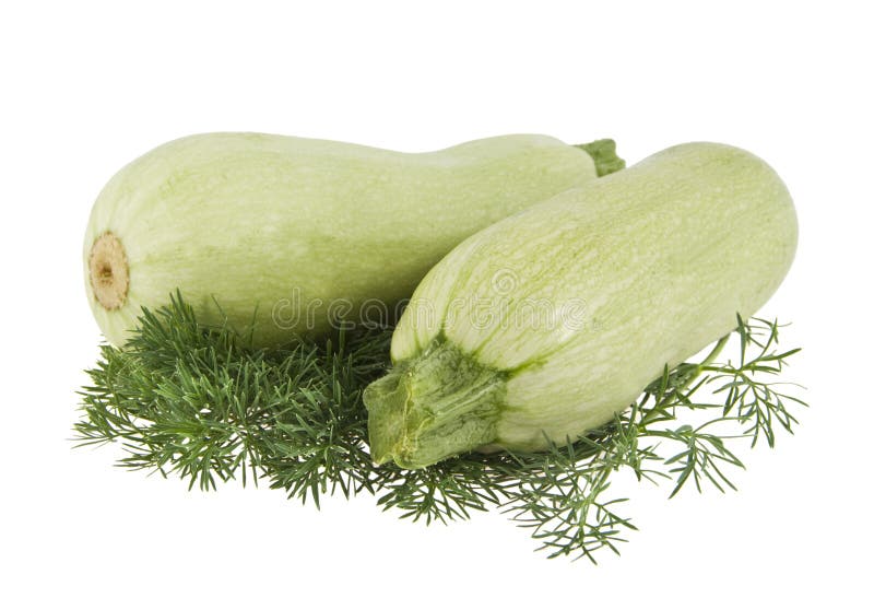 Vegetable marrows stock image. Image of uncooked, green - 19602999