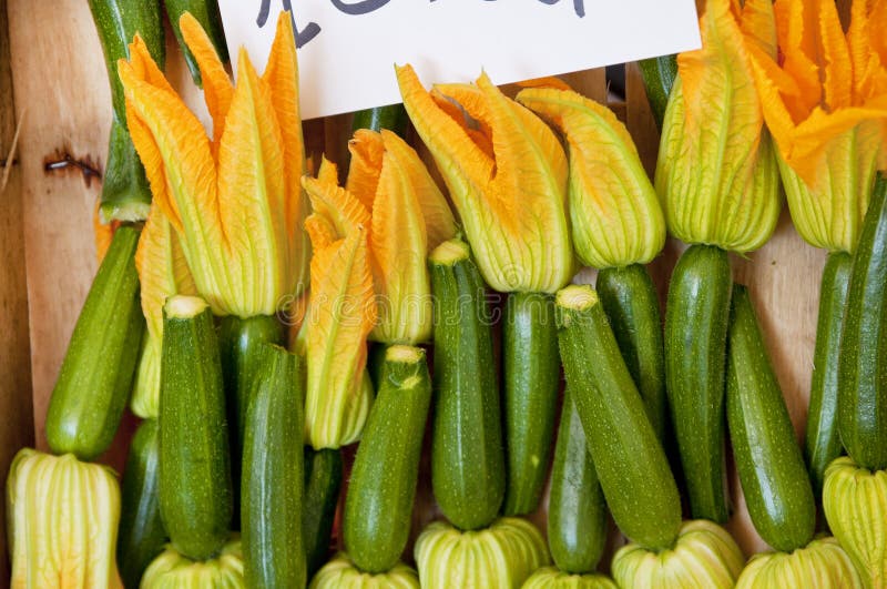 Vegetable Marrows stock image. Image of lowcalorie, sell - 34859435
