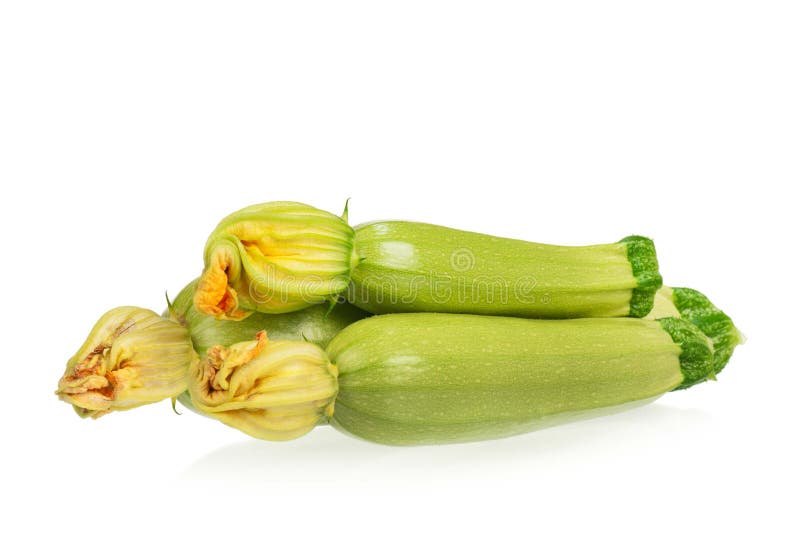 Vegetable marrows stock image. Image of healthy, farmer - 39578949