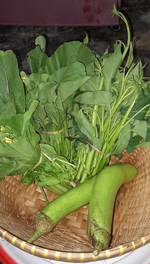 Daily vegetable menu stock image. Image of menu, vegetable - 268845945