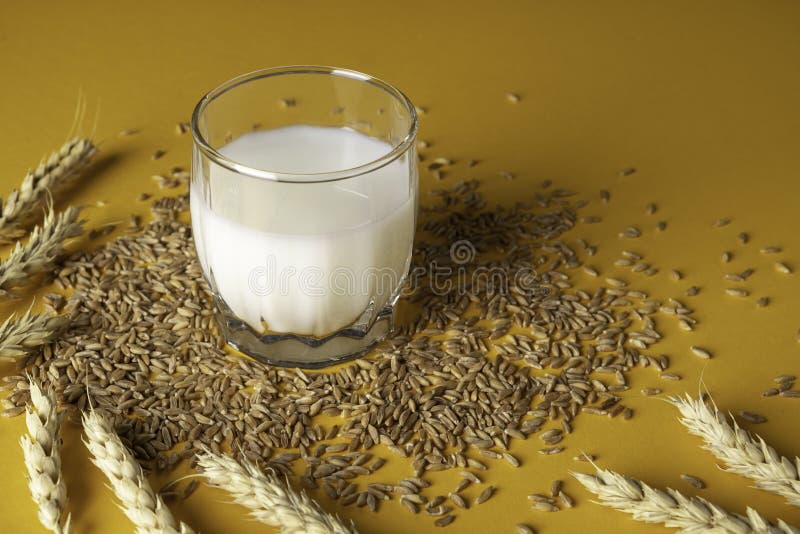 Vegetable milk from wheat stock photo. Image of nutrition - 205601554