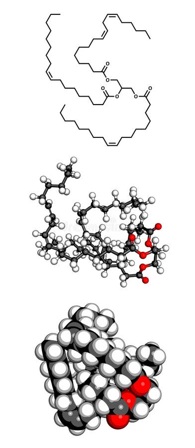 Molecular Structure Of Vegetable Oil