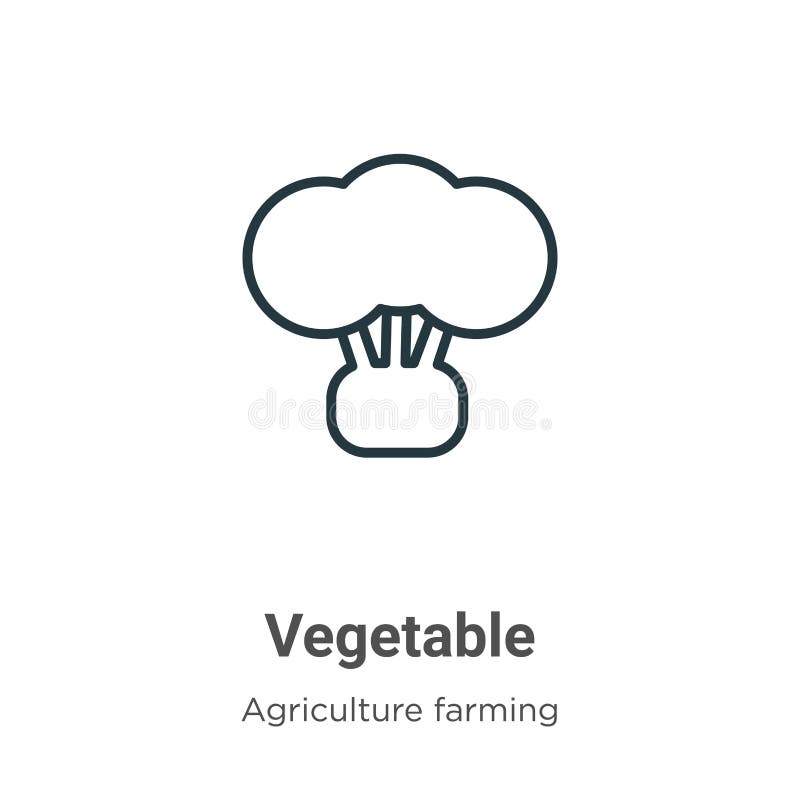 Vegetable Outline Vector Icon. Thin Line Black Vegetable Icon, Flat ...