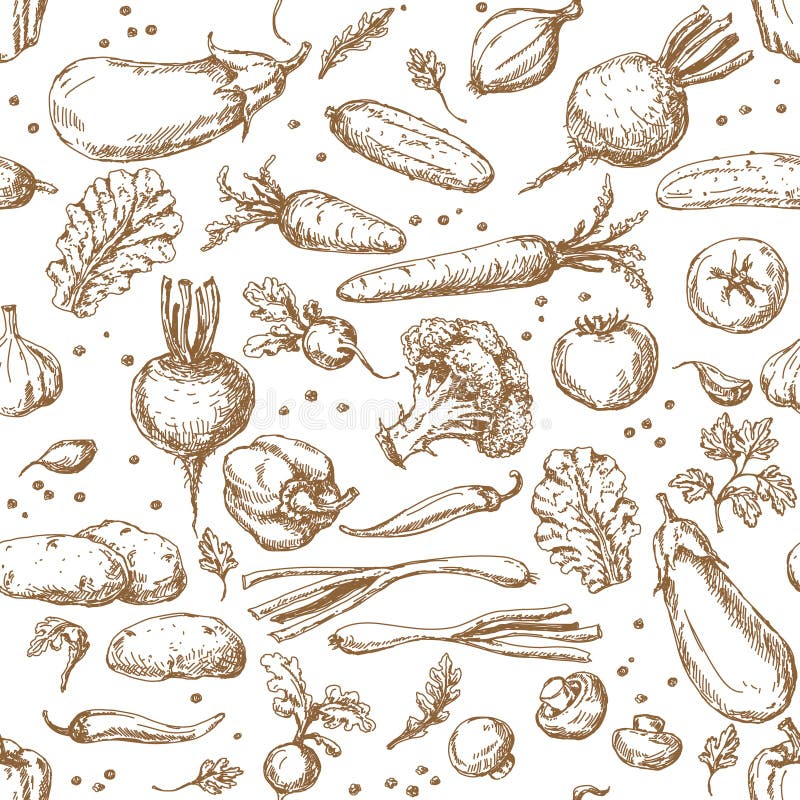 Vegetable Pattern stock vector. Illustration of farming - 55391173