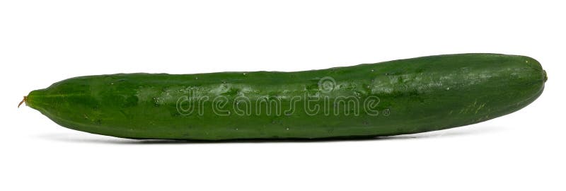 The Vegetable Photography, Japanese Cucumber, High Resolution Isolate ...