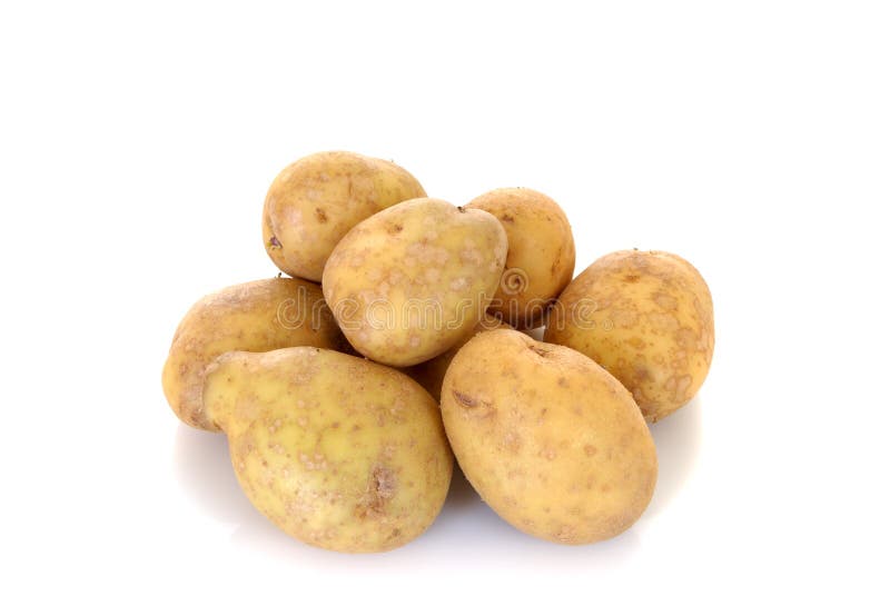 Vegetable, potato stock image. Image of nutrition, healthy - 4199449