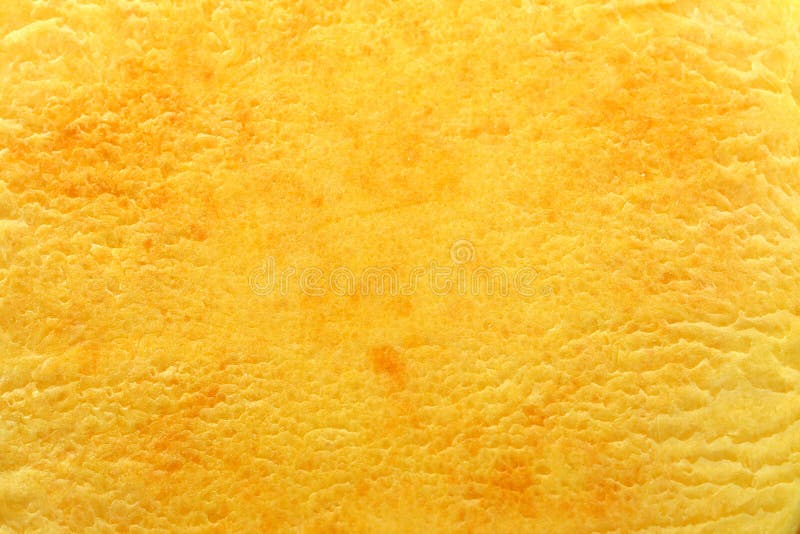 The vegetable pumpkin stock photo. Image of fall, large - 65818218