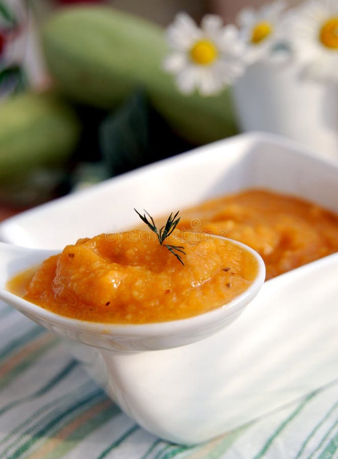 Vegetable puree stock image. Image of spice, pureed, squash - 20792987