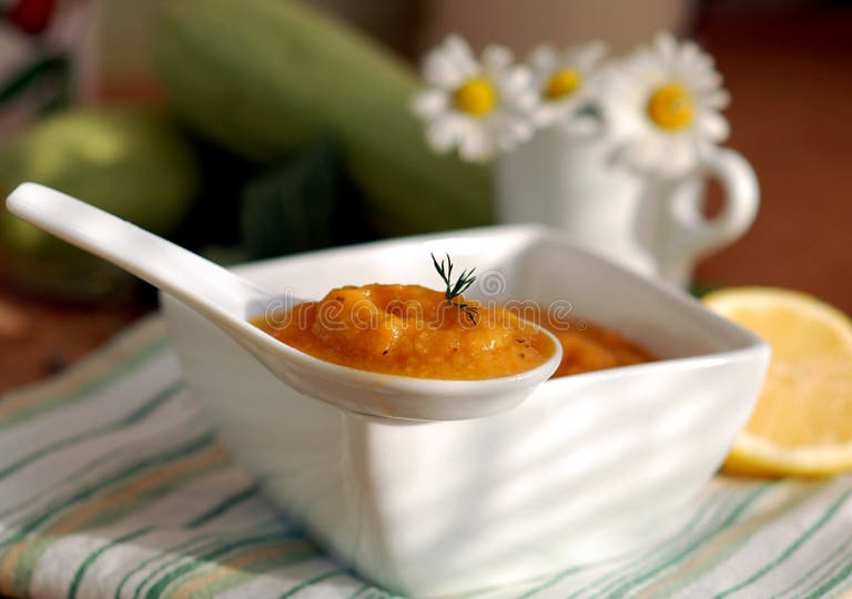 Vegetable puree stock photo. Image of marrow, puree, camomile - 13289922