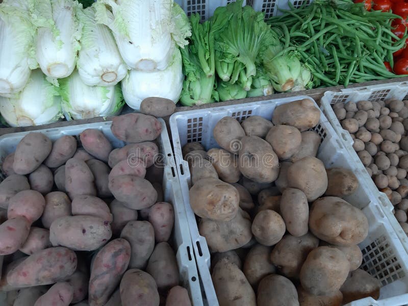 Potato and Vegetable Rack Display at Asia Traditional Market Stock ...