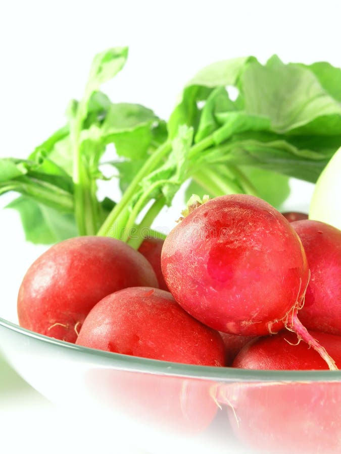 Vegetable - radish stock photo. Image of salad, green - 1051574