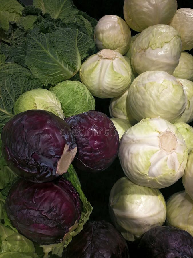 Vegetable - Red Cabbage White Cabbage and Savoy Cabbage Stock Photo ...