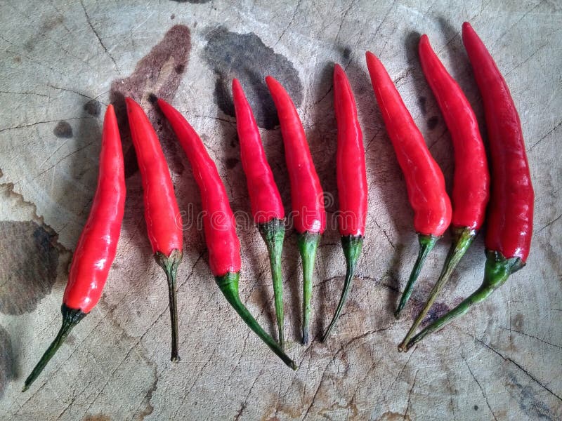 Chilli stock photo. Image of wood, vegetable, food, chilli - 49995330