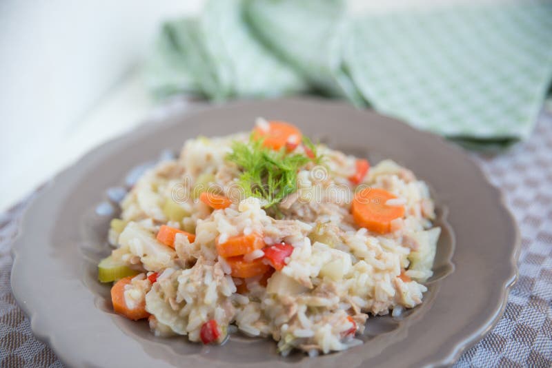 Vegetable risotto stock image. Image of fennel, healthy - 51093113