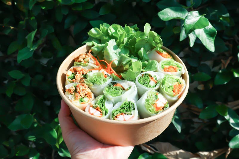 Vegetable Rolls or Noodle Rolls or Rice Noodle Rolls or Vietnamese ...