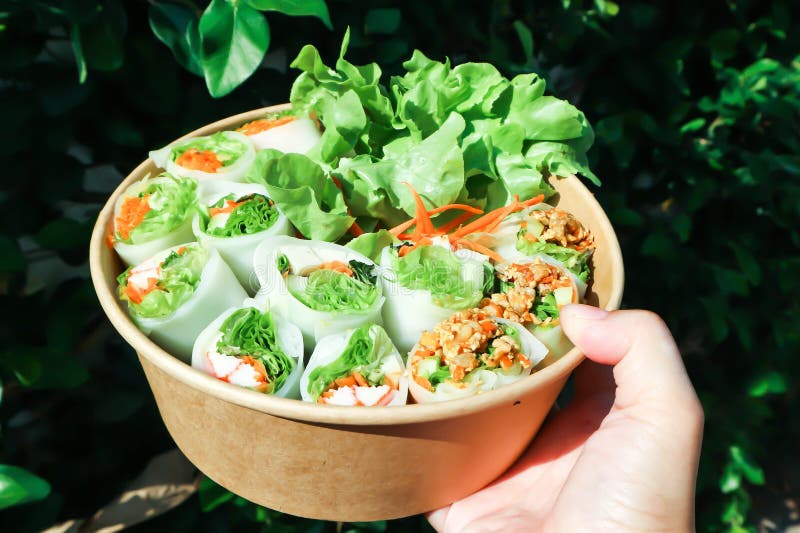 Vegetable Rolls or Noodle Rolls or Rice Noodle Rolls or Vietnamese ...