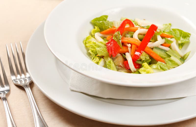 Vegetable Salad with Calamari Stock Photo - Image of diet, olive: 19011564