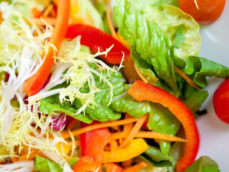 Vegetable Salad Colorful Appetizer Dish. Stock Photo - Image of dieting ...