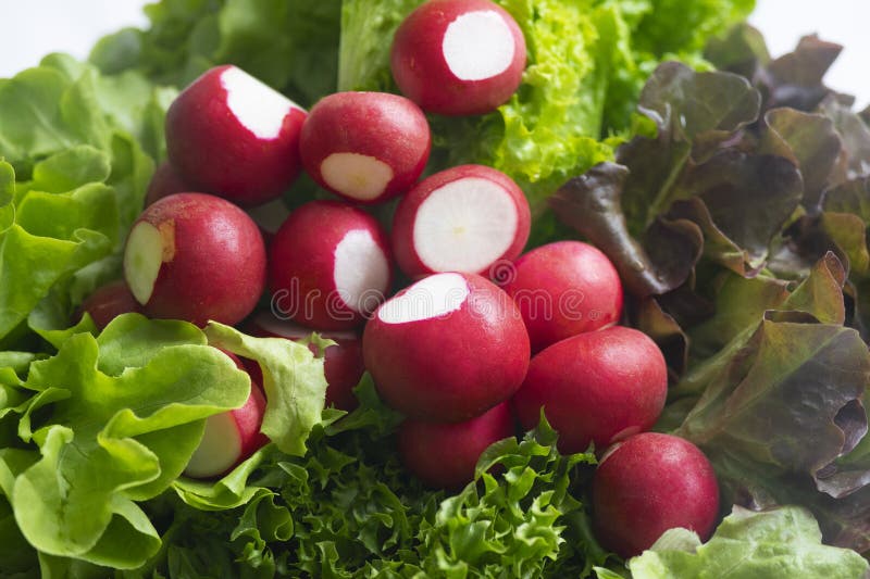 Vegetable Salad Set for Health and Life Stock Photo - Image of healthy ...