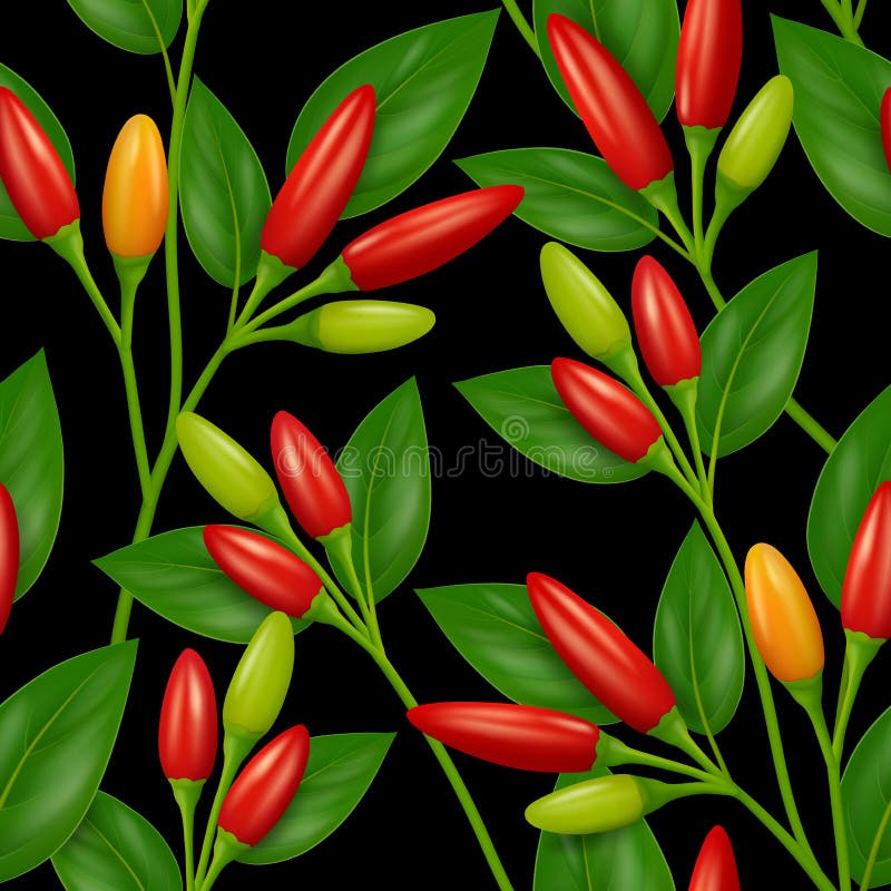 Chili Plant Stock Illustrations – 15,103 Chili Plant Stock ...
