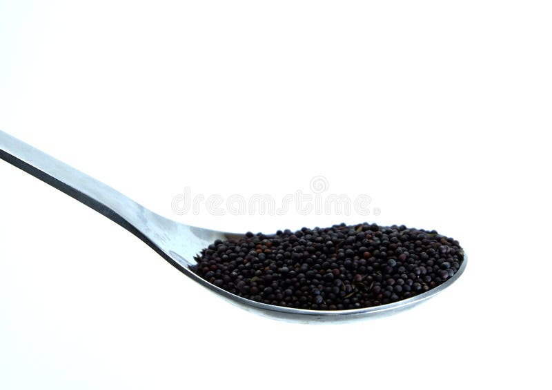 Vegetable Seed on a Stainless Spoon Stock Image - Image of food, seeds ...