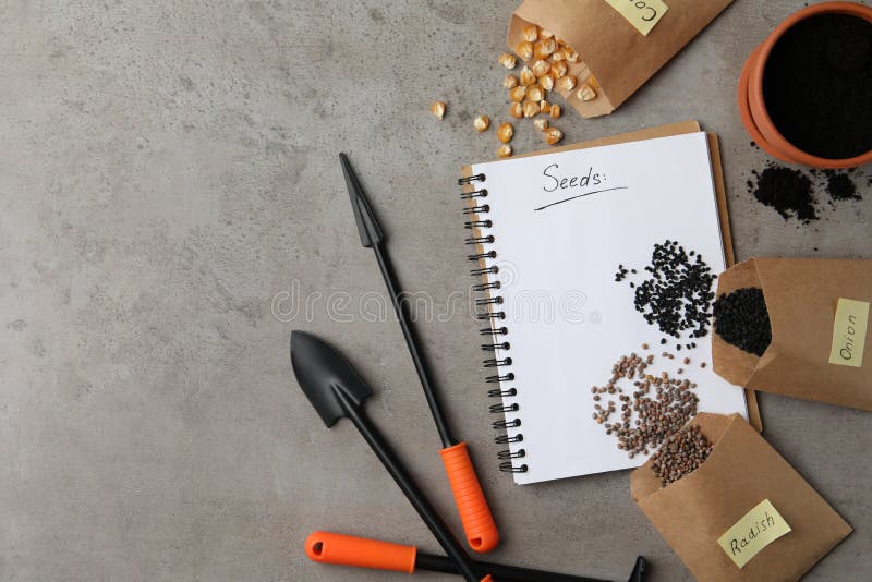 Vegetable Seeds, Notebook and Gardening Tools on Table, Flat Lay. Space ...