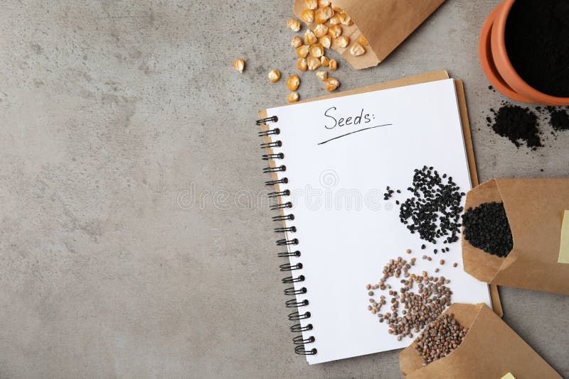 Vegetable Seeds and Notebook on Grey Table, Flat Lay. Space for Text ...