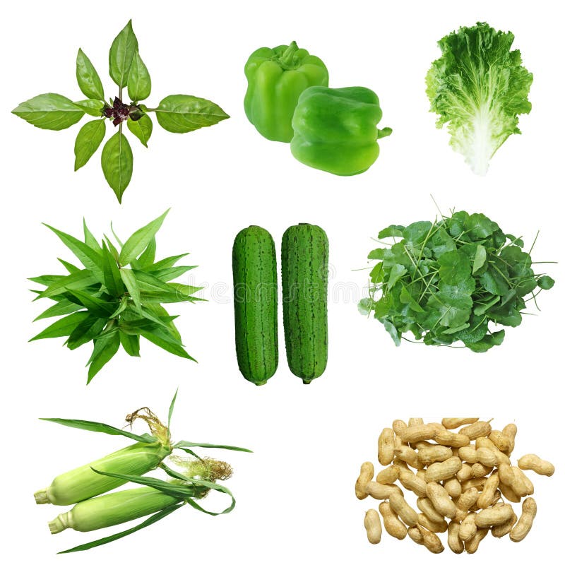 Set of vegetables stock photo. Image of vegetables, ingredient - 20256018