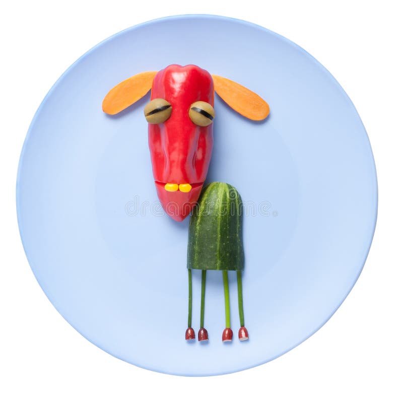 Vegetable Sheep - Raoulia Eximia Plant Growing in Nelson Lakes National ...