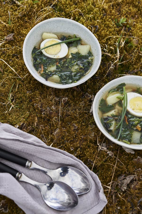 Vegetable soup with nettle stock photo. Image of dinner - 182520600