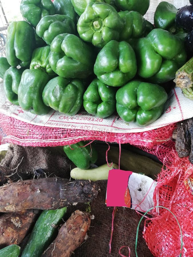 Vegetable Stall in Indore India Stock Photo - Image of colorful, india ...
