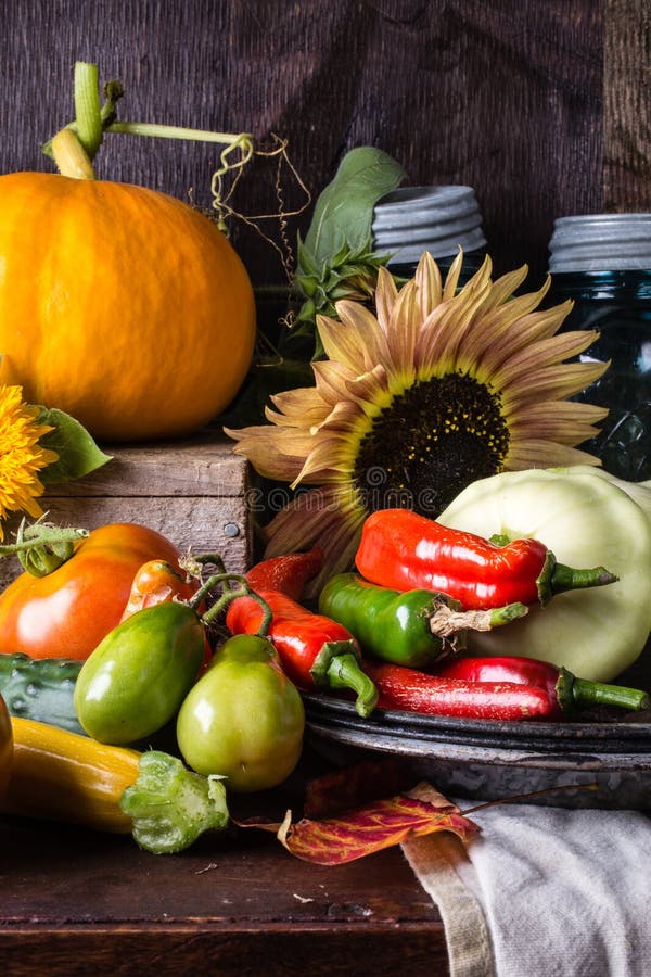 Vegetable Still Life stock photo. Image of veggie, fall - 33465334
