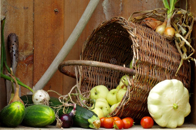 Vegetable Still Life stock photo. Image of abundance - 13734340