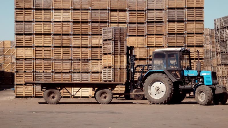 Vegetable Stock. Loader Load Boxes on Tractor Stock Footage - Video of ...