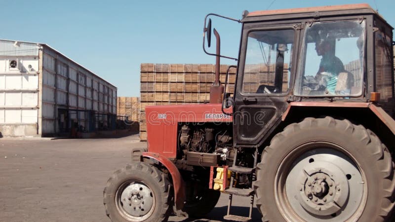 Vegetable Stock. Loader Load Boxes on Tractor Stock Footage - Video of ...