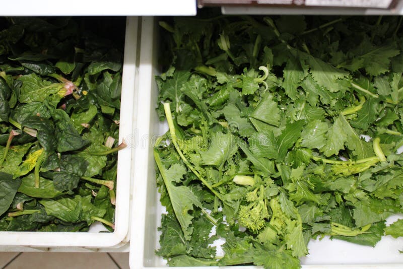 Vegetable Store View Green Salad Leaves on Display Stock Photo - Image ...
