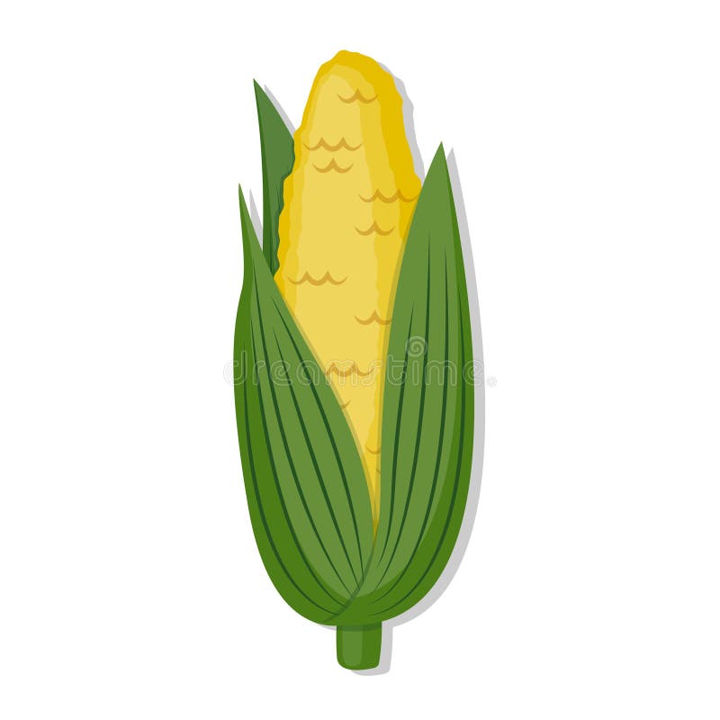 Vegetable Sweet Corn Cartoon Illustration Stock Vector - Illustration ...