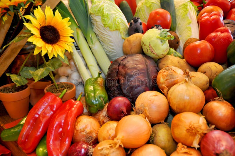 Vegetable on the table stock photo. Image of food, eating - 13233052